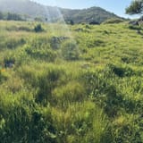 Turtleback Point Loop, California - 155 Reviews, Map | AllTrails