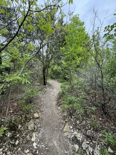 10 Best Hikes and Trails in Cedar Ridge Preserve | AllTrails