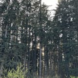 Coyote Loop, Washington - 2,416 Reviews, Map | AllTrails