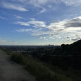 Runyon Canyon Trail, California - 8,064 Reviews, Map | AllTrails