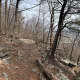 Pulpit Rock and Pinnacle Loop, Pennsylvania - 3,603 Reviews, Map ...