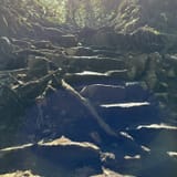 Addington Lookout, High Knoll, Lodge, Fern and Quarry Loop, British ...