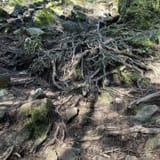 Addington Lookout, High Knoll, Lodge, Fern and Quarry Loop, British ...