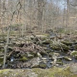 Rocky Run Loop, Delaware - 966 Reviews, Map | AllTrails