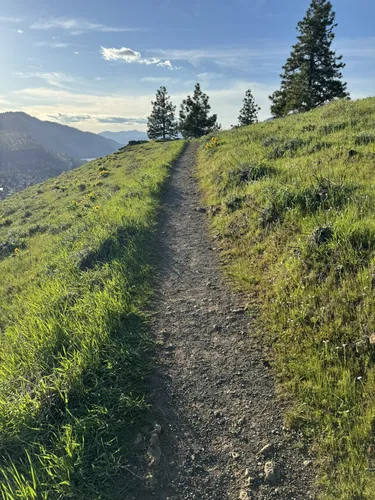 Best Forest Trails in Mosier | AllTrails