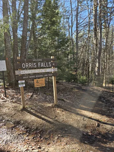 Best Dog Friendly Trails in South Berwick | AllTrails