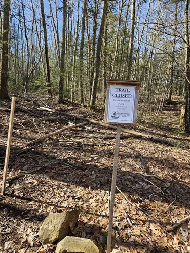 Best Dog Friendly Trails in South Berwick | AllTrails