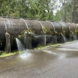 Toketee Falls, Oregon - 2,096 Reviews, Map | AllTrails