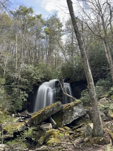 Best River Trails in Neversink River Unique Area | AllTrails