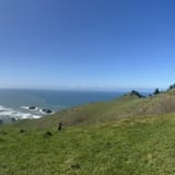 Lower Cascade Head Trail, Oregon - 2,295 Reviews, Map | AllTrails