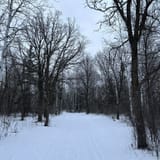 Chickadee Trail, Manitoba, Canada - 1,069 Reviews, Map | AllTrails