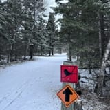 Chickadee Trail, Manitoba, Canada - 1,069 Reviews, Map | AllTrails
