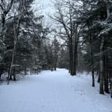 Chickadee Trail, Manitoba, Canada - 1,069 Reviews, Map | AllTrails