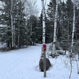 Chickadee Trail, Manitoba, Canada - 1,069 Reviews, Map | AllTrails