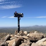 Picketpost Mountain Trail, Arizona - 2,264 Reviews, Map | AllTrails