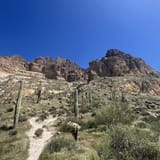 Picketpost Mountain Trail, Arizona - 2,264 Reviews, Map | AllTrails