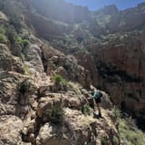Picketpost Mountain Trail, Arizona - 2,264 Reviews, Map | AllTrails