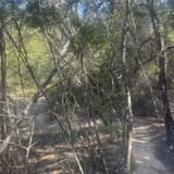 Woy Woy Waterfall Pool via Tunnel Trail, New South Wales, Australia ...