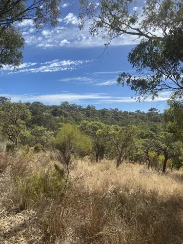 10 Best Trail Running Trails in Perth | AllTrails