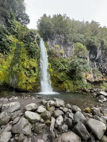 Best River Trails in Hawera | AllTrails