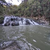 Conondale Range Great Walk: Booloumba Creek - Wongai Camp, Queensland ...