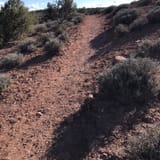 Colorado River Overlook Trail, Utah - 174 Reviews, Map | AllTrails