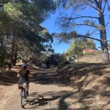 Shiraz Trail, South Australia, Australia - 71 Reviews, Map | AllTrails