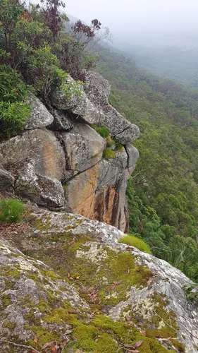 Best Off Road Driving Trails in Mount Mee | AllTrails