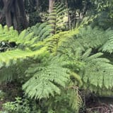 Northern Rivers Rail Trail: Tweed Section, New South Wales, Australia ...
