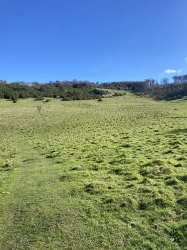 Best Hikes and Trails in Aston Rowant National Nature Reserve | AllTrails