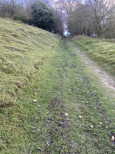 Best Hikes and Trails in Aston Rowant National Nature Reserve | AllTrails