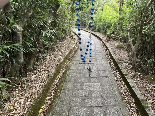 Best Hikes and Trails in Lung Fu Shan Country Park | AllTrails