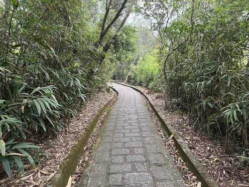 Best Hikes and Trails in Lung Fu Shan Country Park | AllTrails