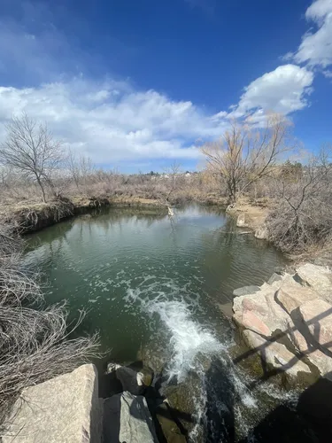 Best Hikes and Trails in Willow Springs Open Space | AllTrails