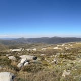 Illawong Walk, New South Wales, Australia - 330 Reviews, Map | AllTrails