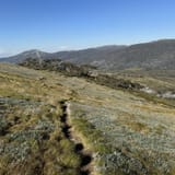 Illawong Walk, New South Wales, Australia - 330 Reviews, Map | AllTrails