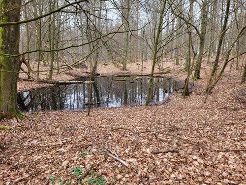 Best Historic Site Trails in Gribskov | AllTrails