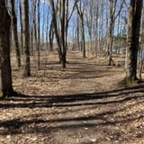 Delta Lake State Park Loop, New York - 156 Reviews, Map | AllTrails