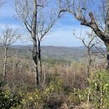 Linville Gorge Grand Loop, North Carolina - 489 Reviews, Map | AllTrails