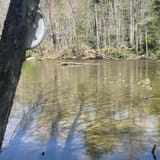 Linville Gorge Grand Loop, North Carolina - 489 Reviews, Map | AllTrails