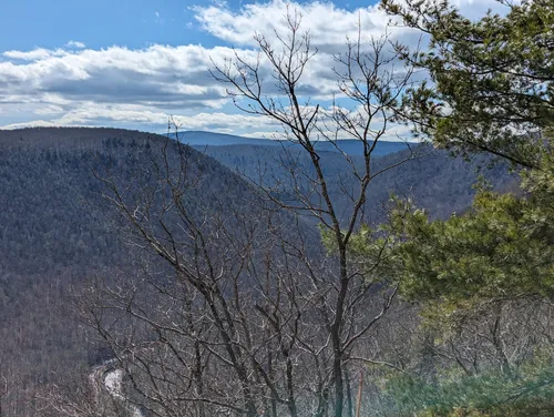 Best River Trails in Mohawk Trail State Forest | AllTrails