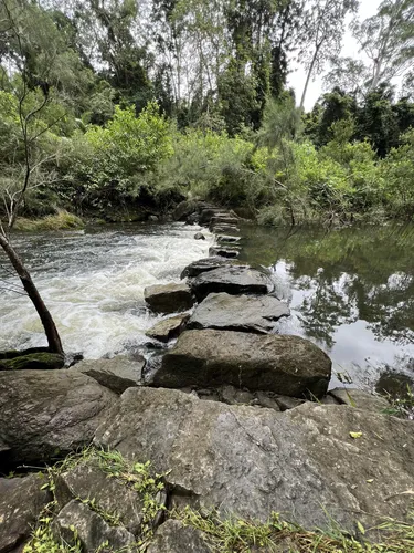 Best Hikes and Trails in Imbil State Forest 1 | AllTrails