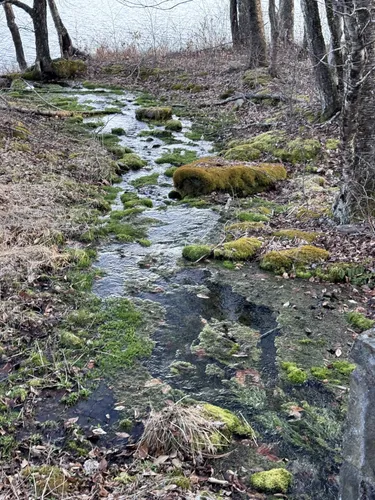 Best Lake Trails in Claryville | AllTrails