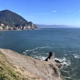 Cape Falcon Trail, Oregon - 3,719 Reviews, Map | AllTrails