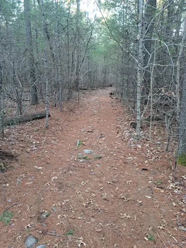 Best Hikes and Trails in Ridge Hill Reserve | AllTrails