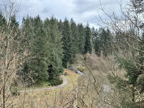 Best Hikes and Trails in Maryculter Woods | AllTrails