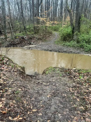 Best Hikes and Trails in Monocacy River Natural Resource Management ...