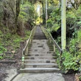 Dipsea Trail from Mill Valley Trailhead, California - 2,158 Reviews ...