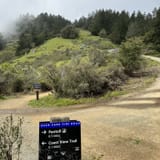 Dipsea Trail from Mill Valley Trailhead, California - 2,158 Reviews ...