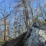 Southern Loop via Western Ridge Trail, Rock Creek, Valley Trail ...